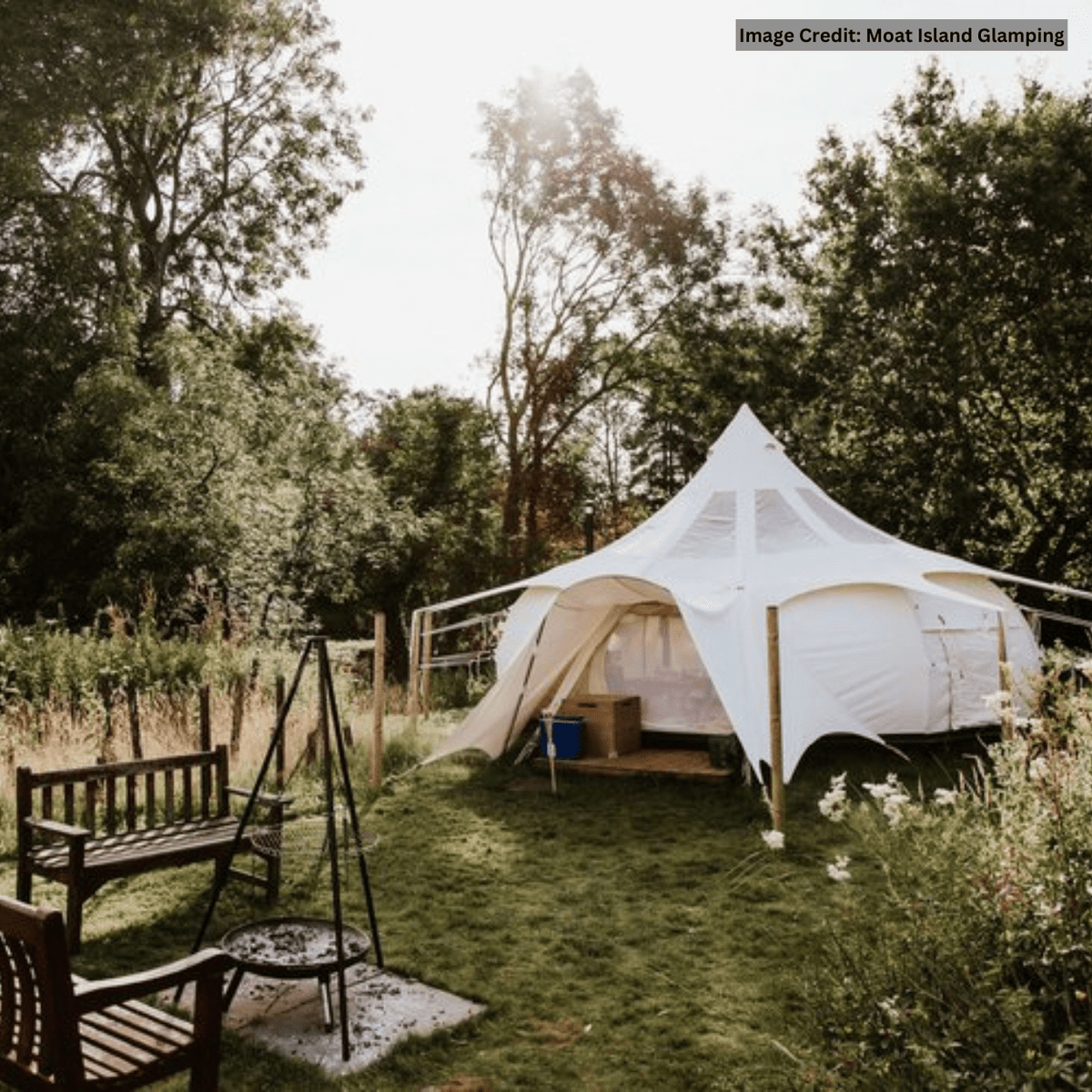 6m Stargazer Tent – Lotus Belle Tents New Zealand